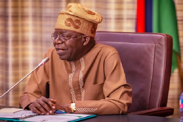 Tinubu makes fresh appointments in the power sector – The Pathfinder